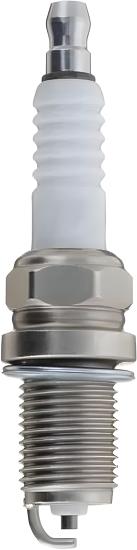 Wartungsset Unkrautbürste mit Heavy-Duty-Bürstenset